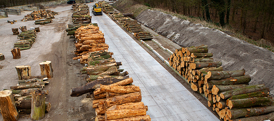 Amsterdamse Bos: Hout uit eigen stad, biedt u mee? - mijn Amstelveen